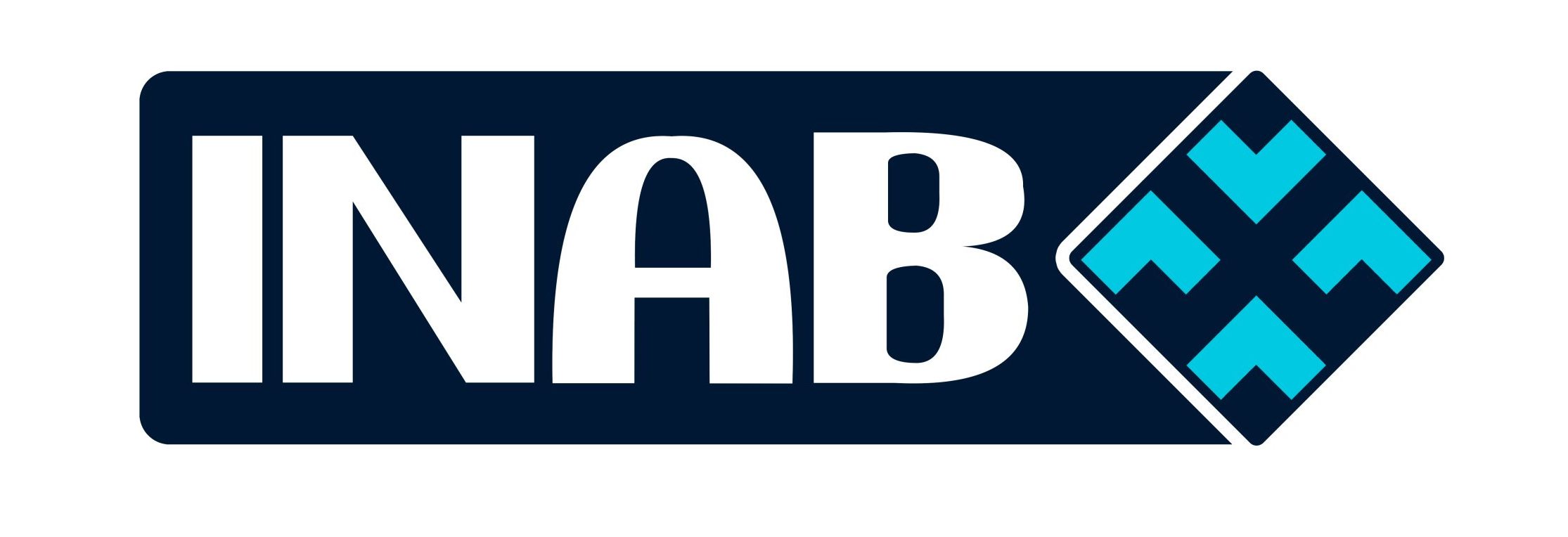 دانلود لوگو ایناب